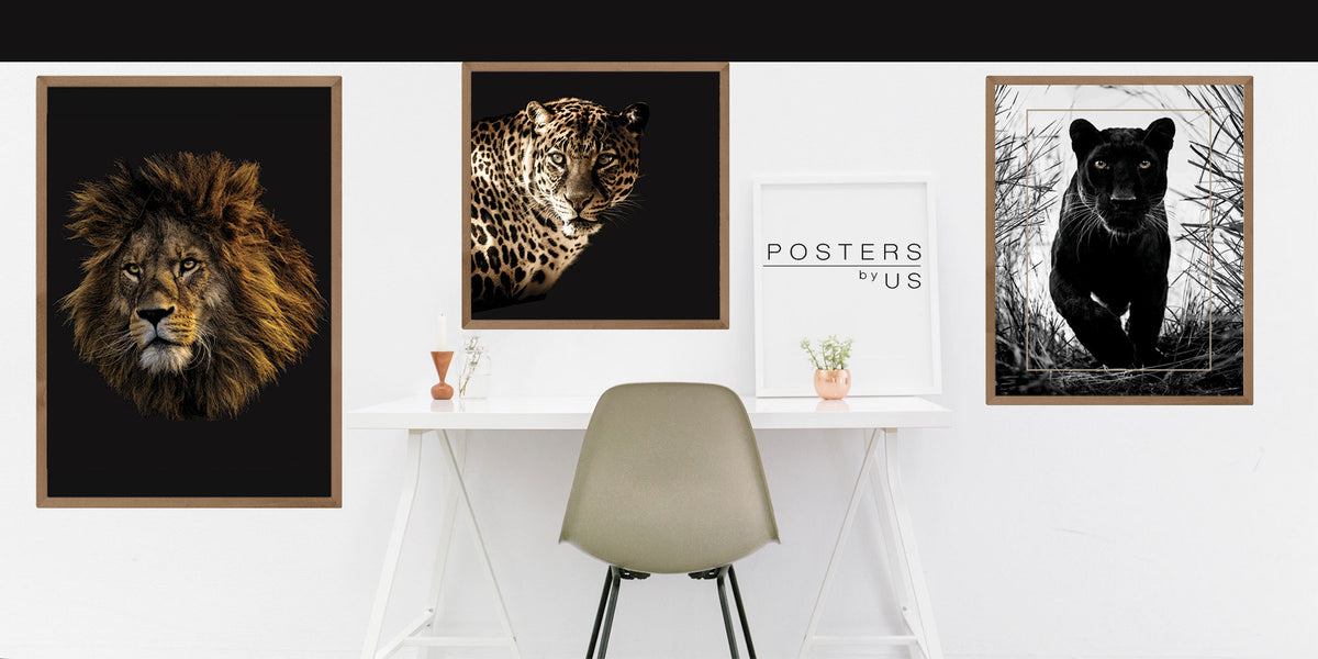 Plakater med Dyr | Stort Udvalg af Flotte Dyreplakater Her